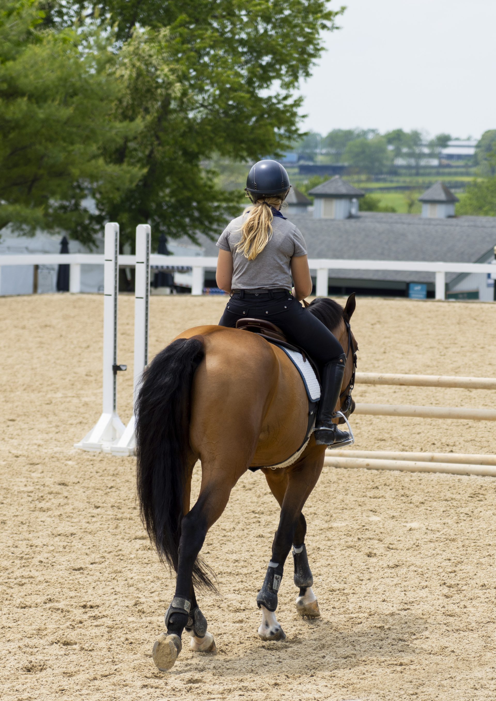 Get Off the Rail! - The Plaid Horse Magazine