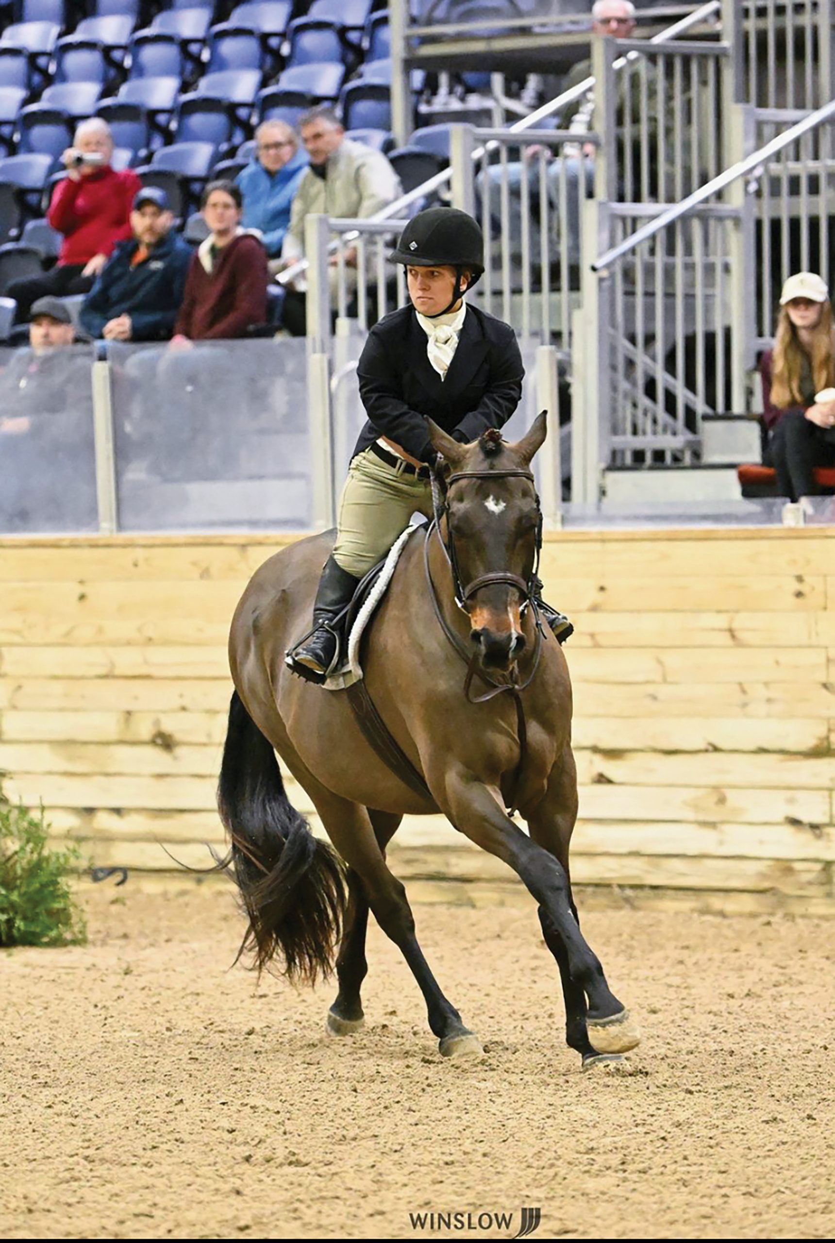 The Plaid Horse Questionnaire with Britt Bardwell - The Plaid Horse ...