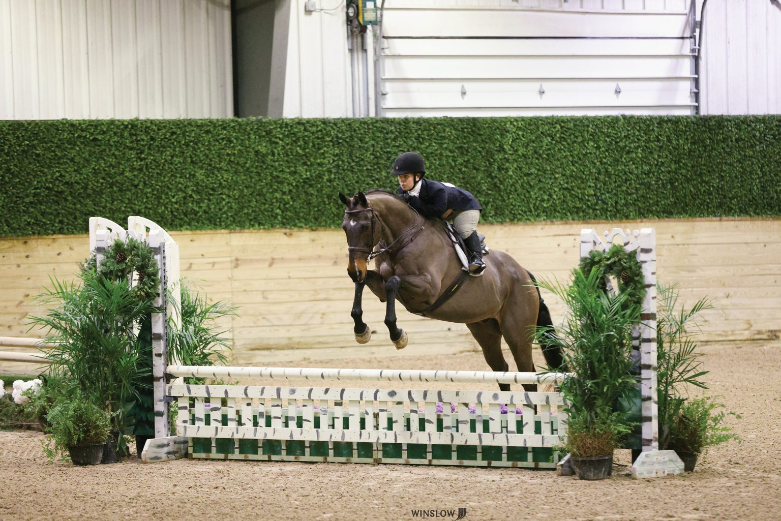 The Plaid Horse Questionnaire with Britt Bardwell - The Plaid Horse ...