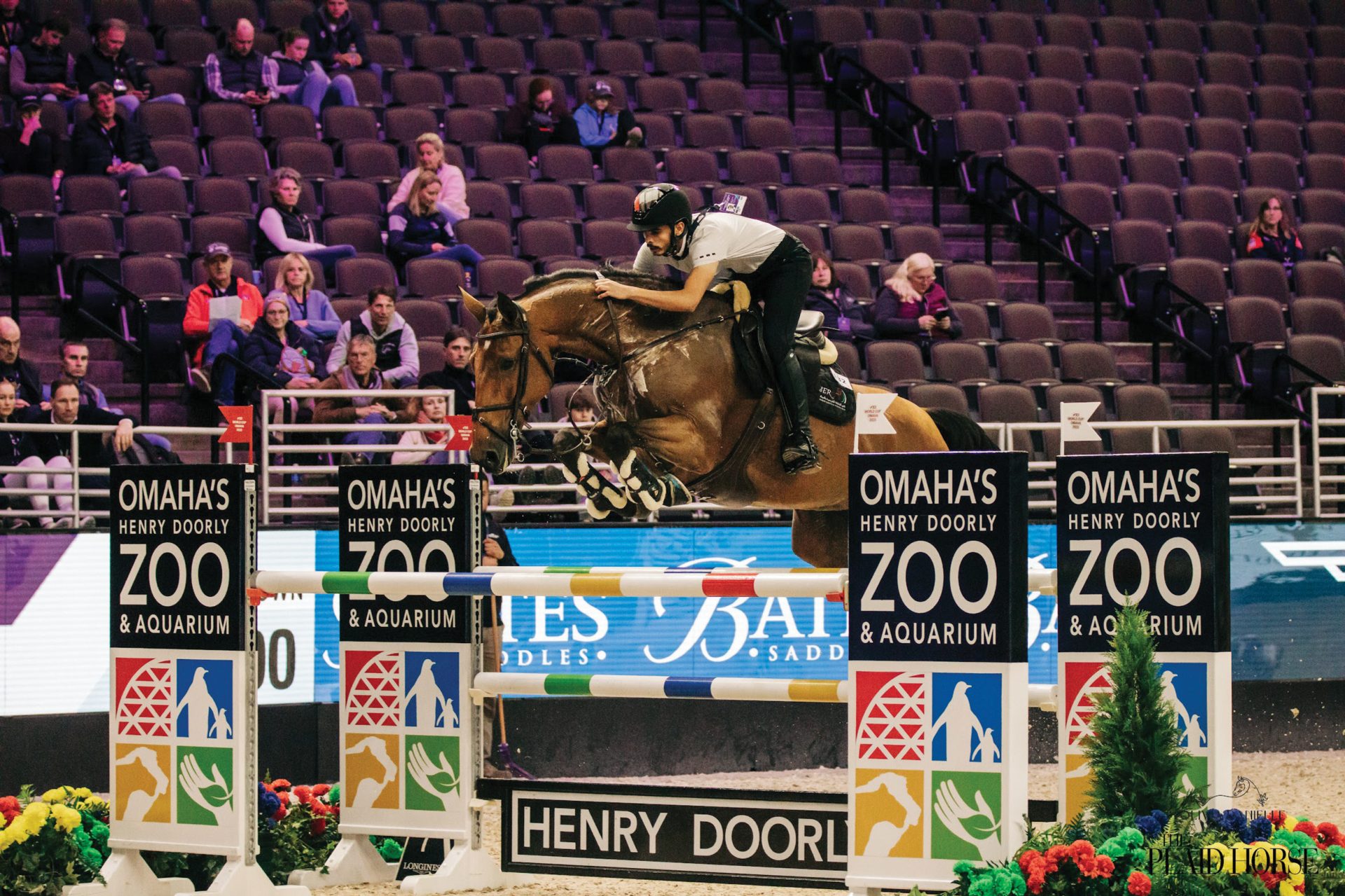 Mare Power - The Plaid Horse Magazine
