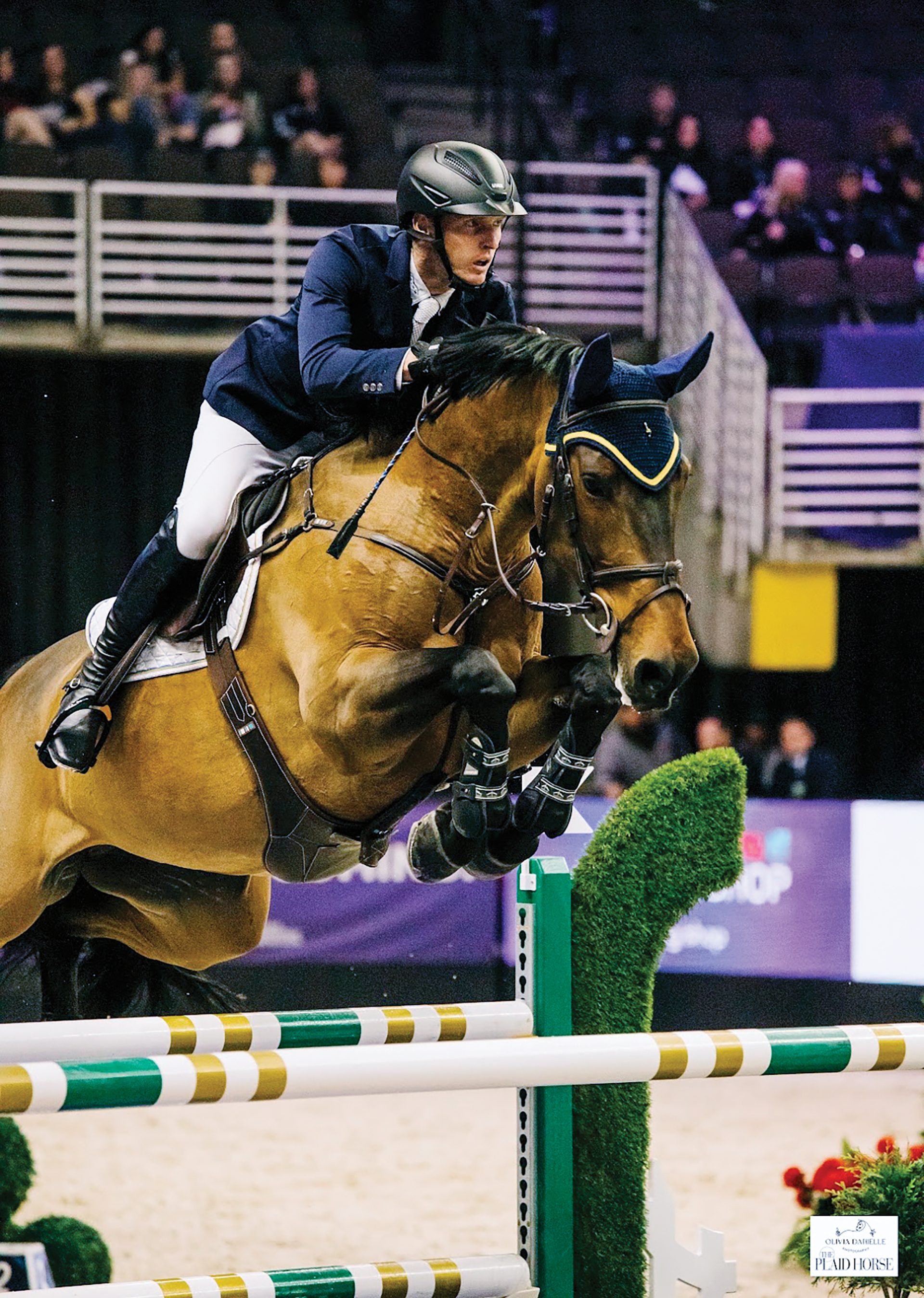 Mare Power - The Plaid Horse Magazine