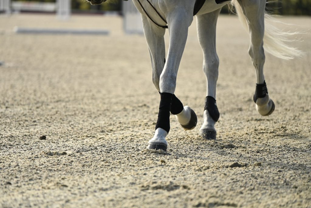 Ask the Arena and Footing Experts: Troubleshooting Your Riding Arena ...