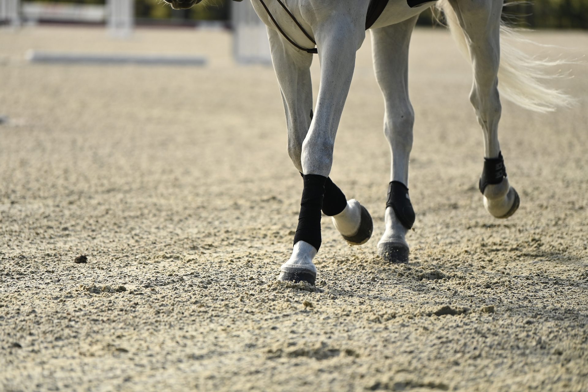 Ask the Arena and Footing Experts: Troubleshooting Your Riding Arena ...