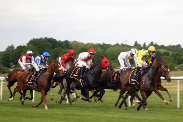 Exploring The Biggest Horse Racing Events From The Kentucky Derby To exploring-the-biggest-horse-racing-events-from-the-kentucky-derby-to