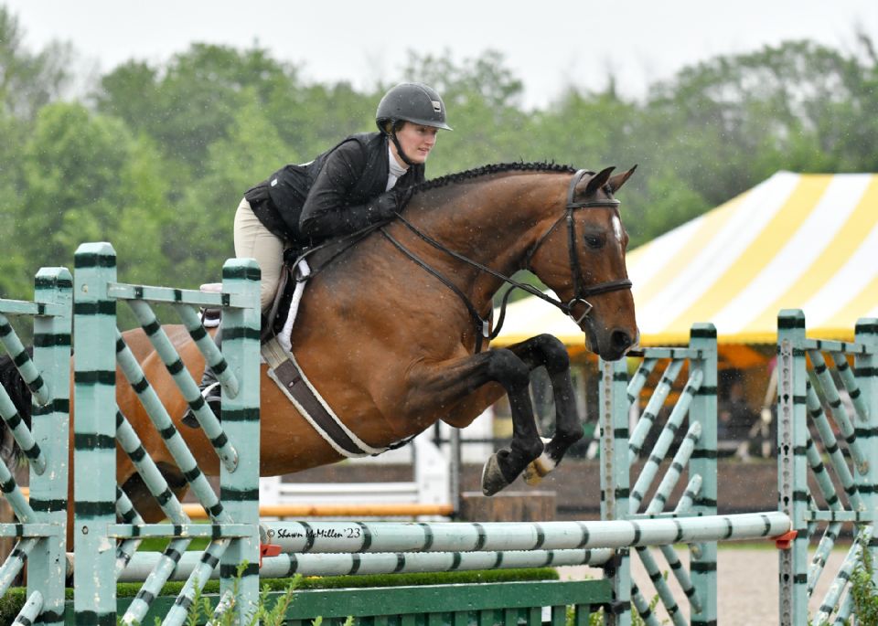 Sydney Smith and Antidote Score Grand Amateur-Owner Hunter 3'6 ...
