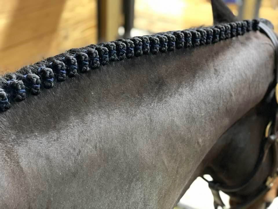 The Braider's Wishlist - The Plaid Horse Magazine