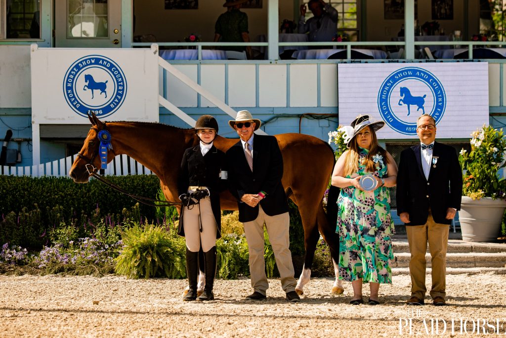 Game Changer: A Bold USHJA Rule Will Change the Small Junior Hunter ...