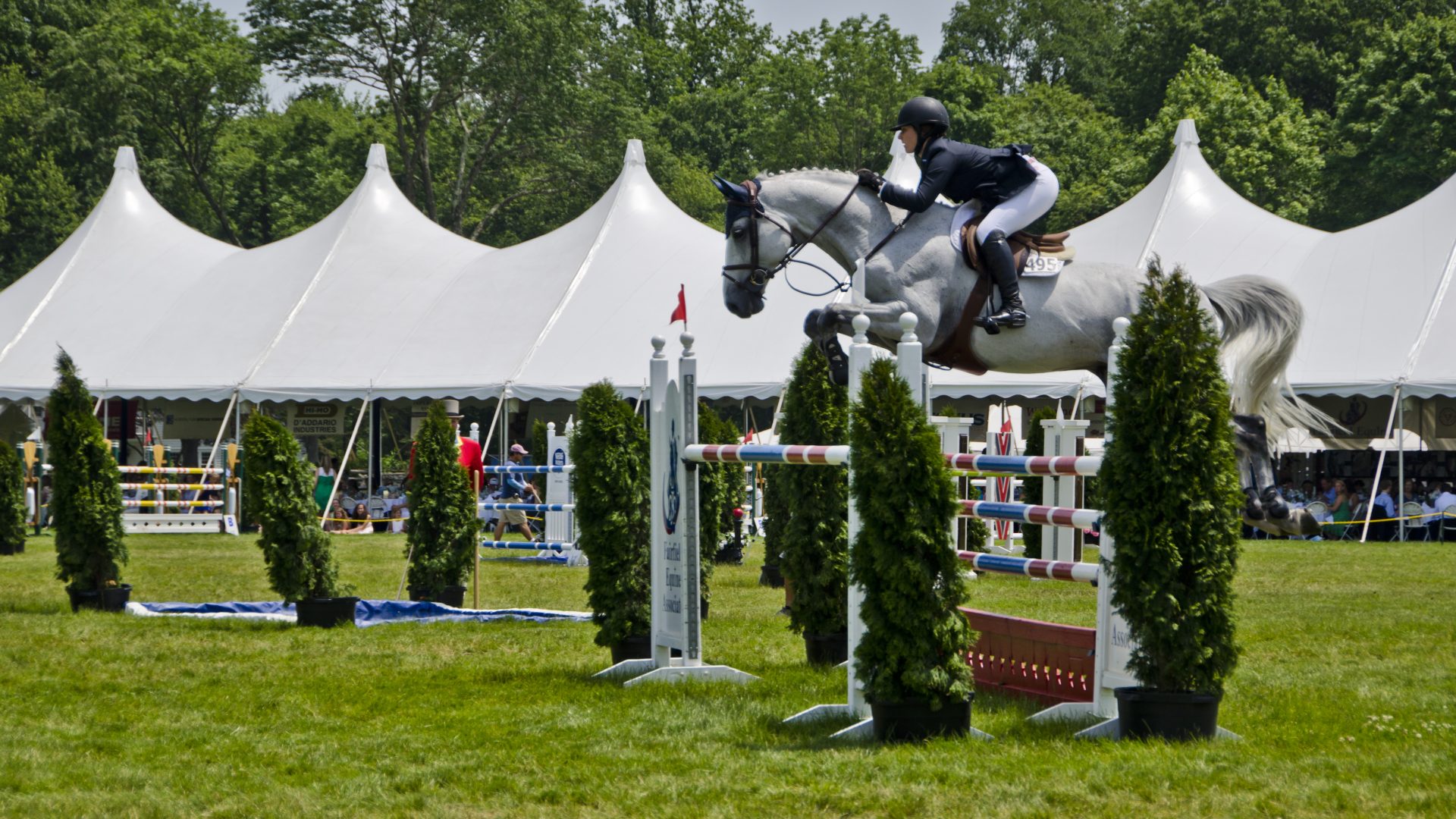 Beyond the Reins: Harnessing the Four Pillars of Equestrian Fitness ...