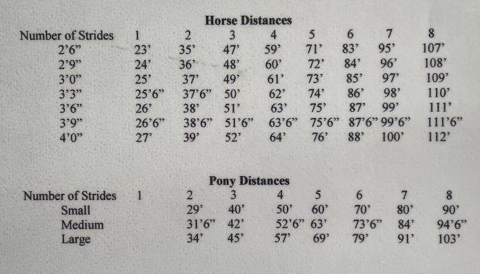 Reading Course Diagrams Part I: Hunters - The Plaid Horse Magazine