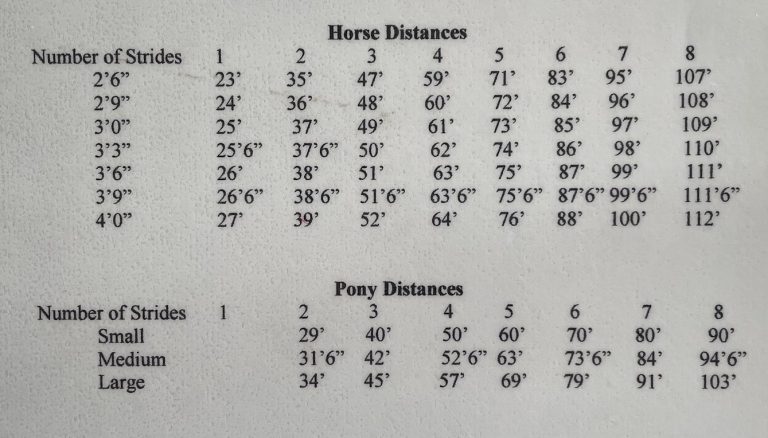 Reading Course Diagrams Part I: Hunters - The Plaid Horse Magazine