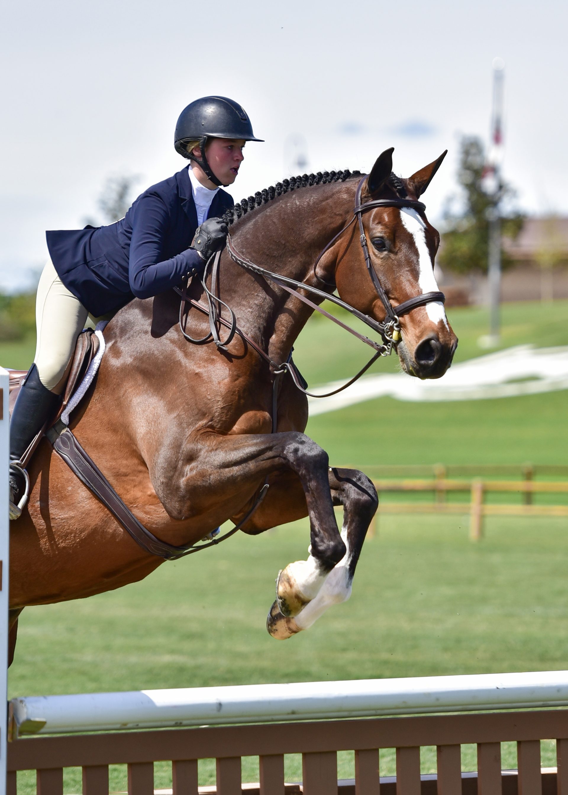 PCHA Profile Spotlight: Valentina Lehner - The Plaid Horse Magazine