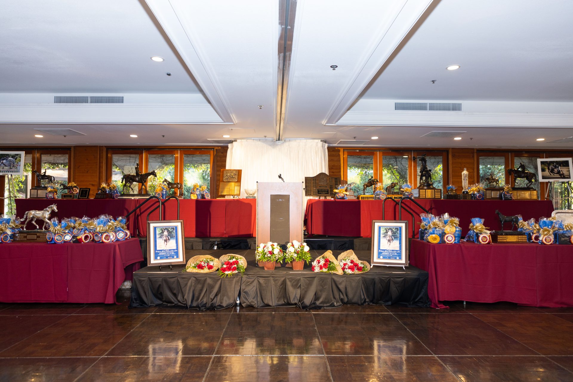 PCHA Trophy Tidbits: Know Your Pony Awards - The Plaid Horse Magazine