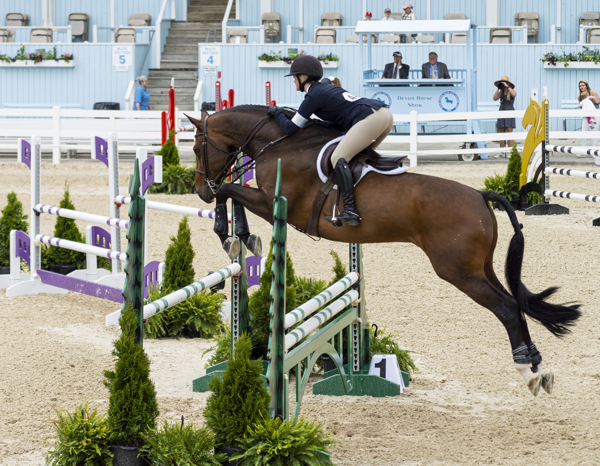 Equitation Scoring - The Plaid Horse Magazine