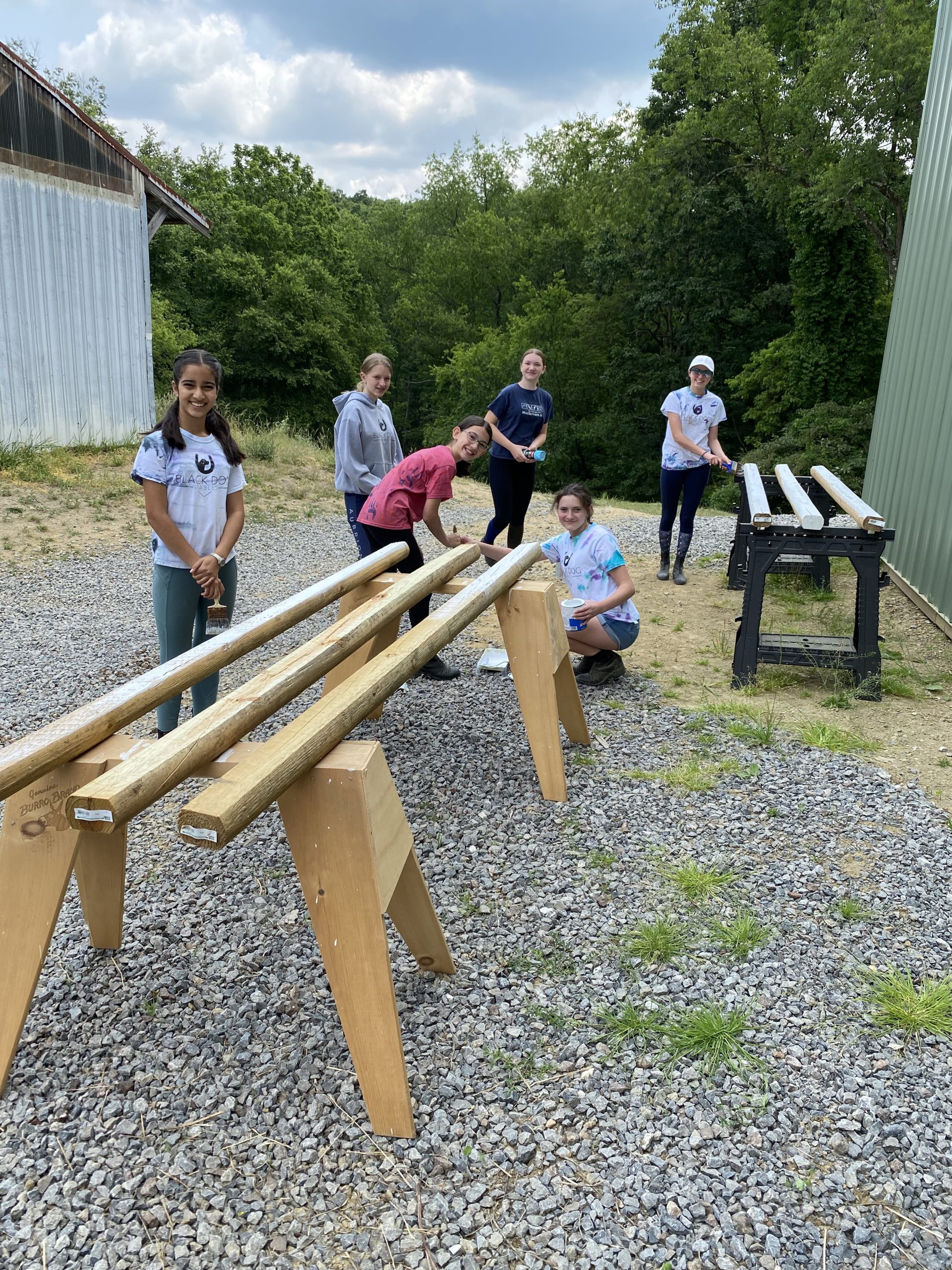 Bringing Back the Barn Rats - The Plaid Horse Magazine