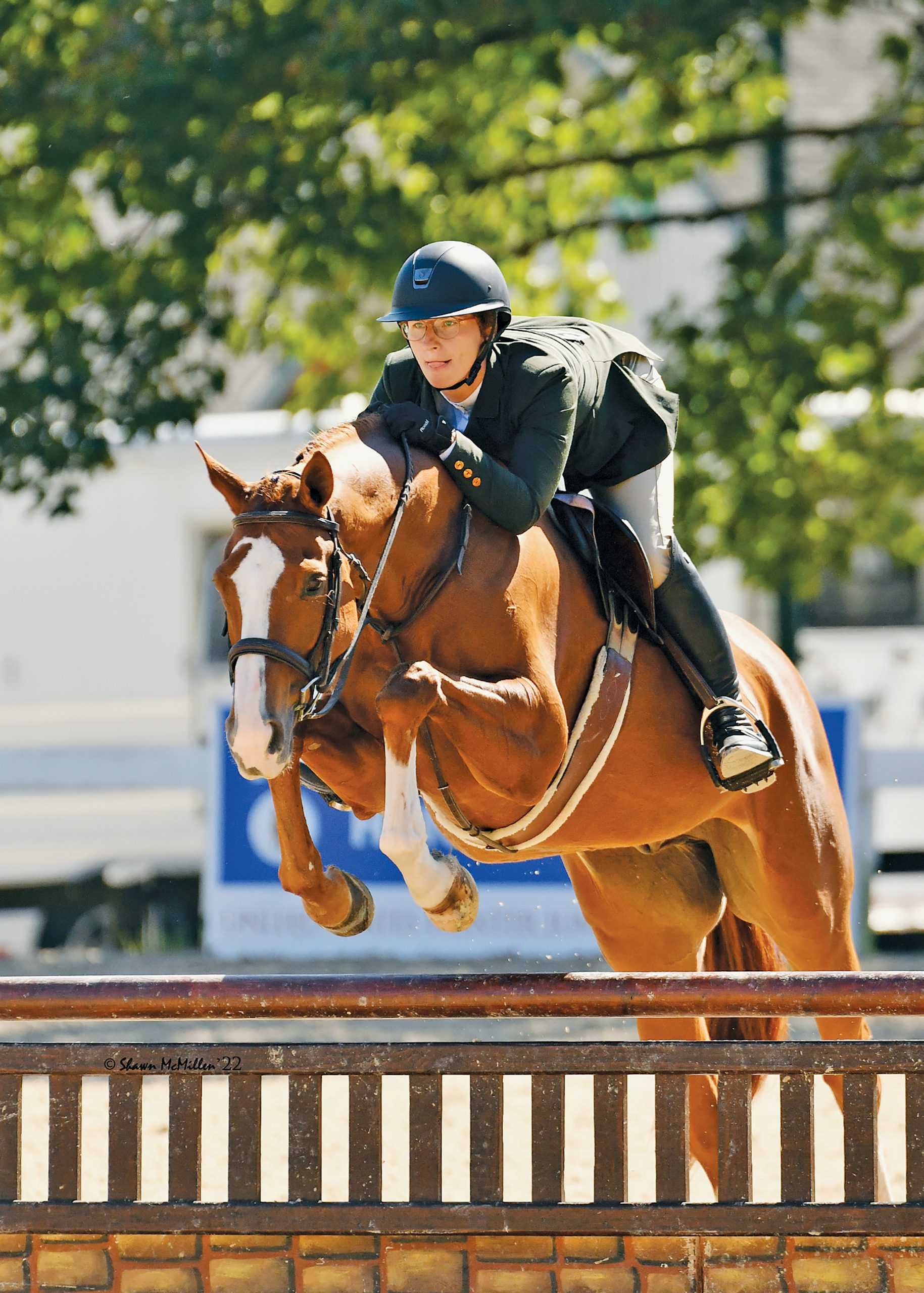 A Second Chance for Thoroughbreds - The Plaid Horse Magazine