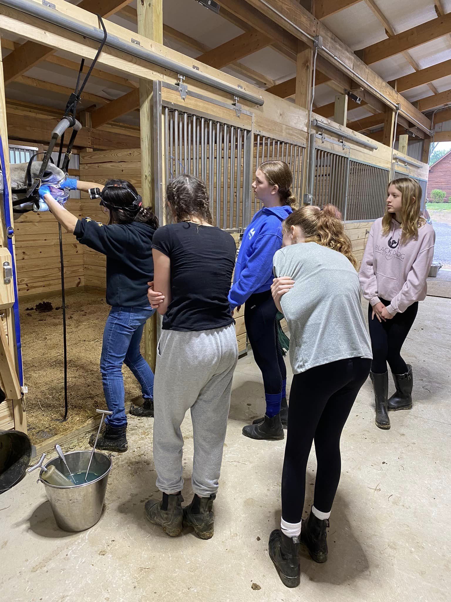 Bringing Back the Barn Rats - The Plaid Horse Magazine