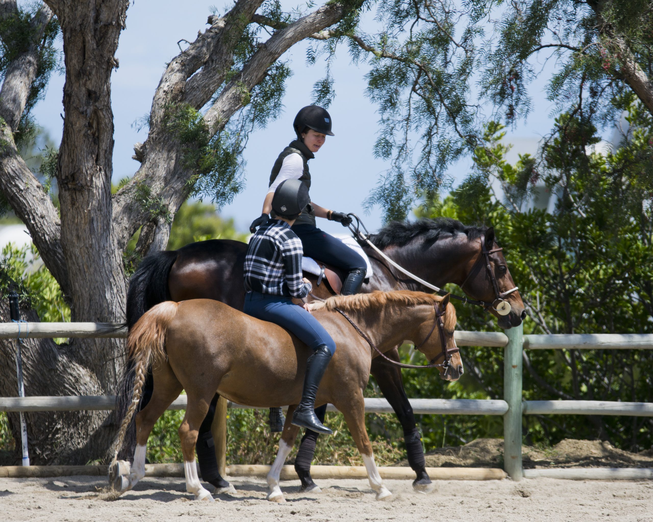 Ride Playfully, Learn Effectively - The Plaid Horse Magazine