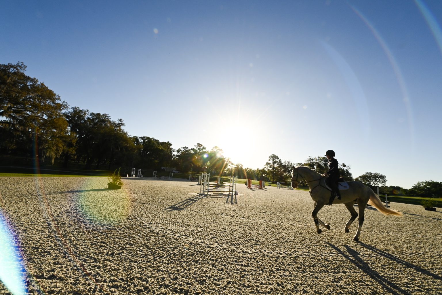 Ask the Arena and Footing Experts: The Arena Design Process - The Plaid ...