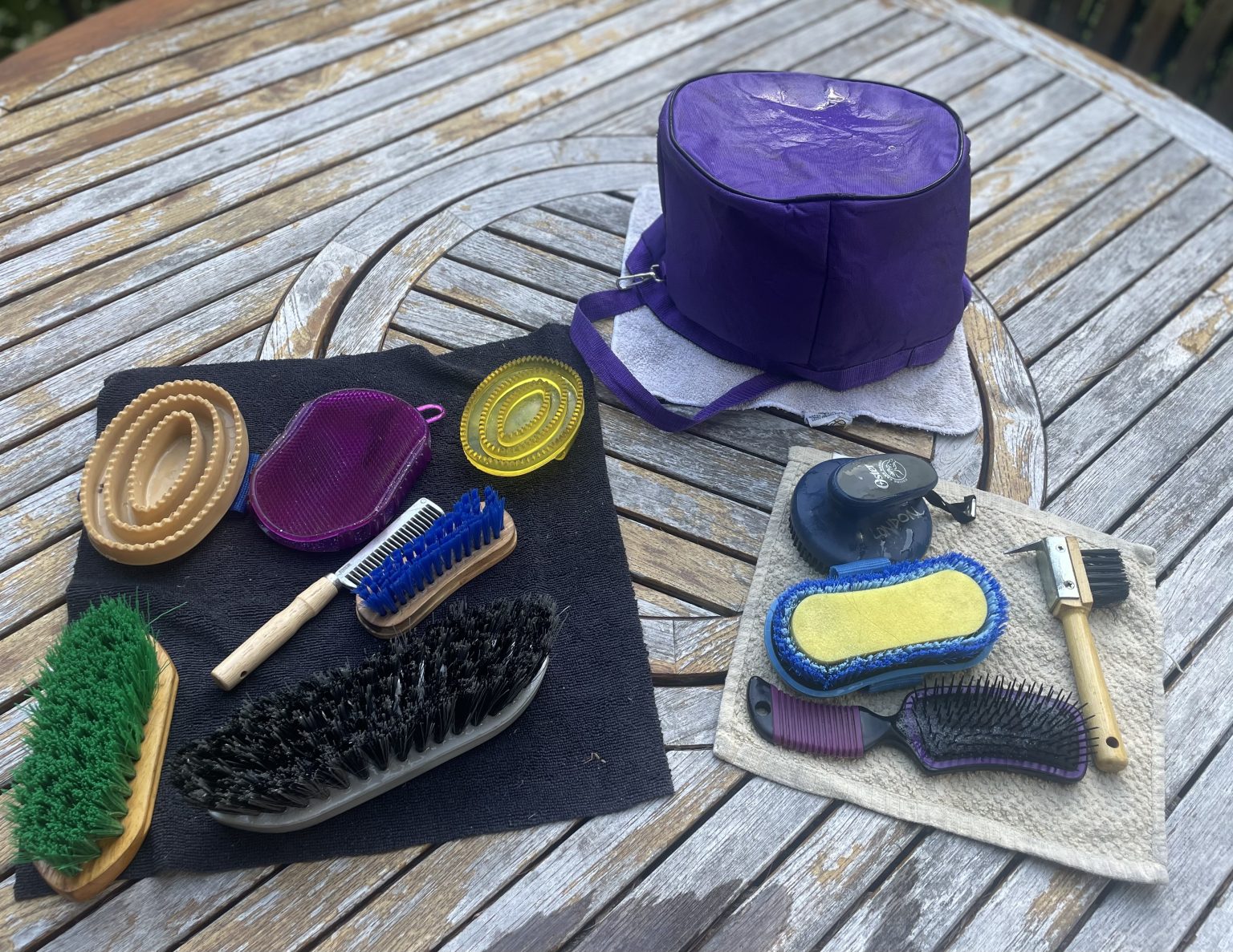 From Filthy to Fabulous: The Mane Importance of Keeping Your Horse's ...