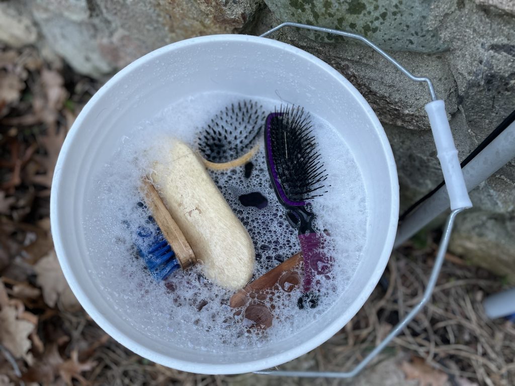 From Filthy to Fabulous: The Mane Importance of Keeping Your Horse's ...