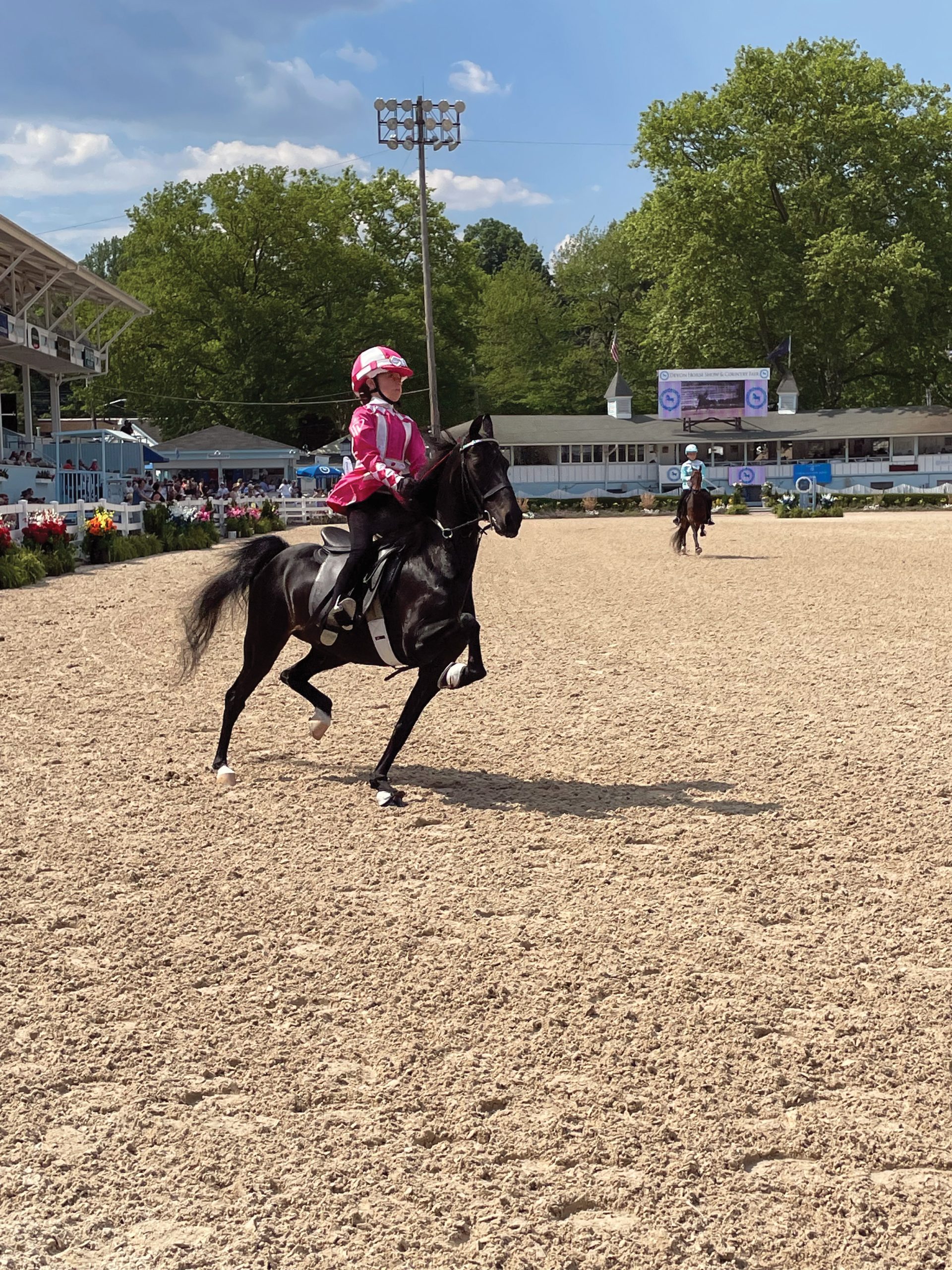 From Hunters to Roadsters - The Plaid Horse Magazine