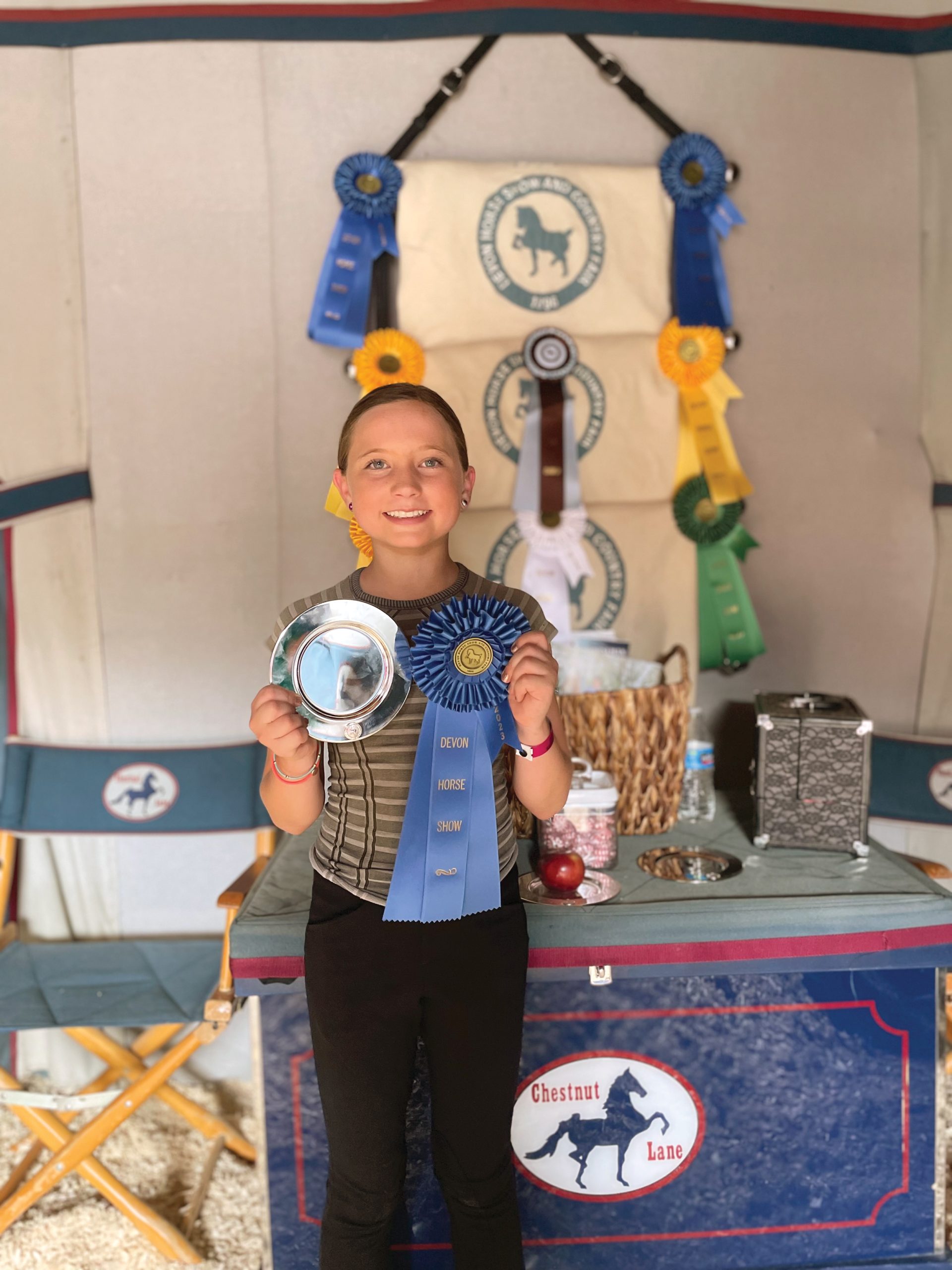 From Hunters to Roadsters - The Plaid Horse Magazine