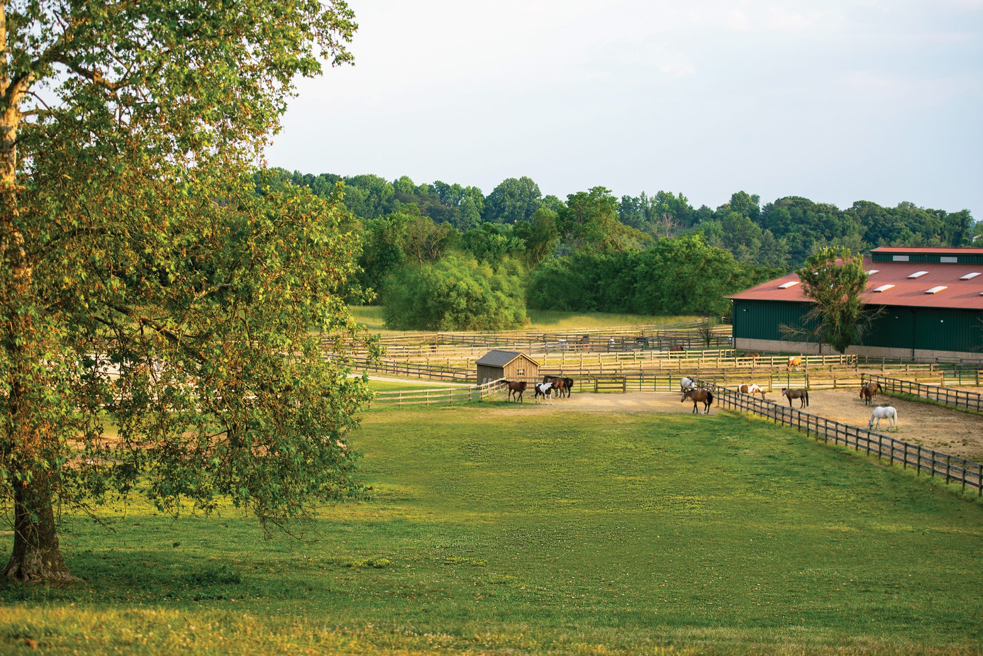 One Big Family: Garrison Forest School’s Equestrian Institute - The ...