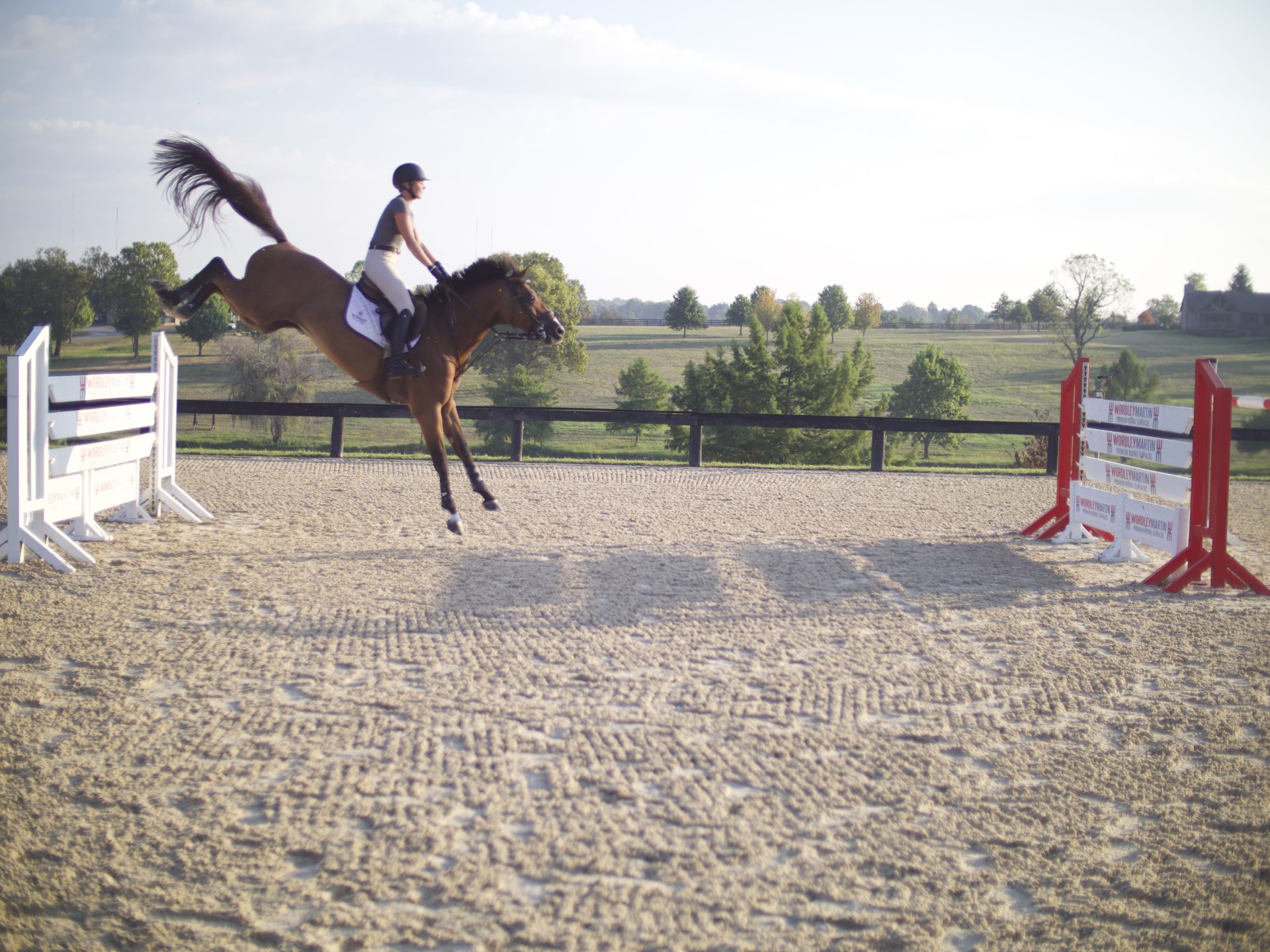 Ask the Arena and Footing Experts: The Arena Design Process - The Plaid ...