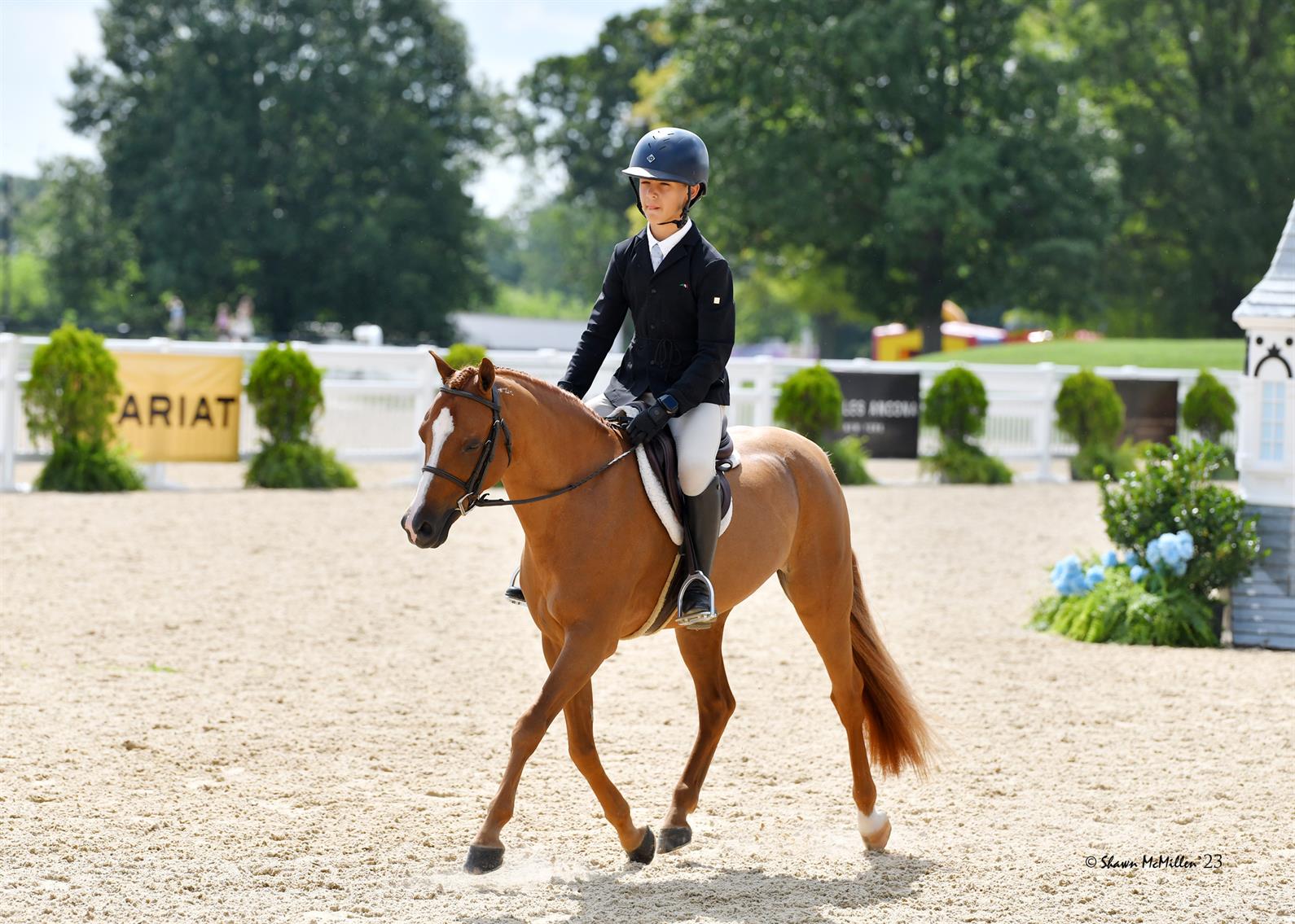 Medium Regular and Small Green Ponies Start 2023 USEF Pony Finals ...