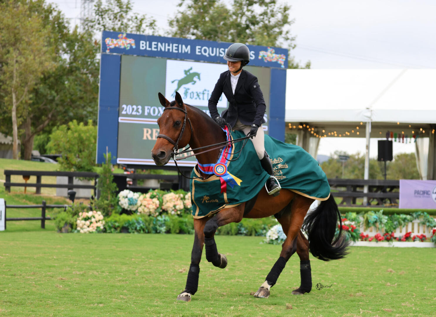 Rebecca Beall is the Best in Foxfield 3’3” Medal Final at Blenheim Fall ...