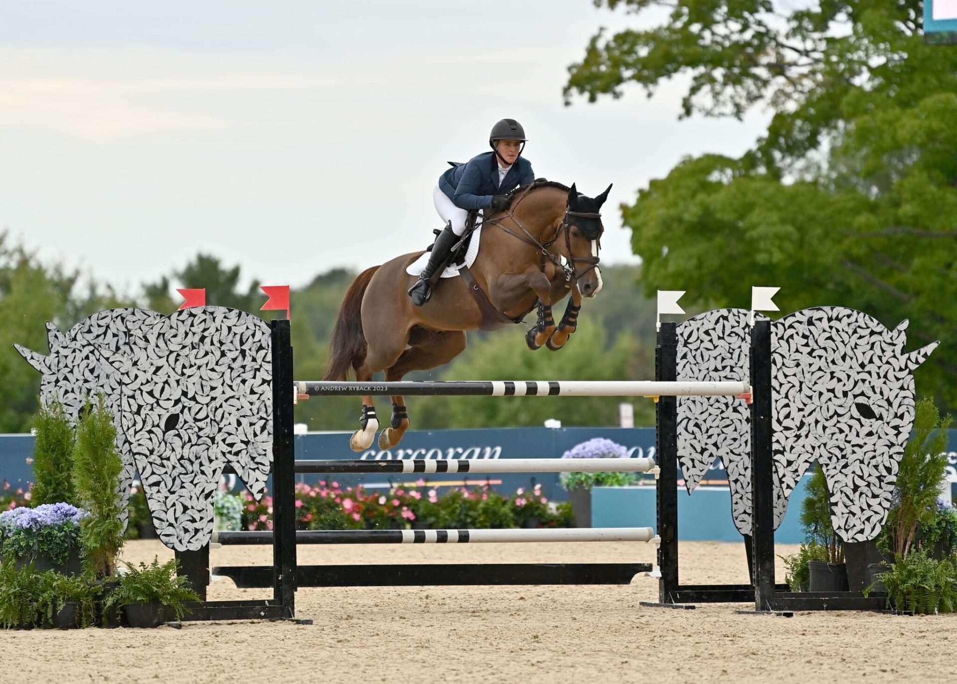 Karl Cook Continues to Rise with Caracole de la Roque in $145,100 Agero ...