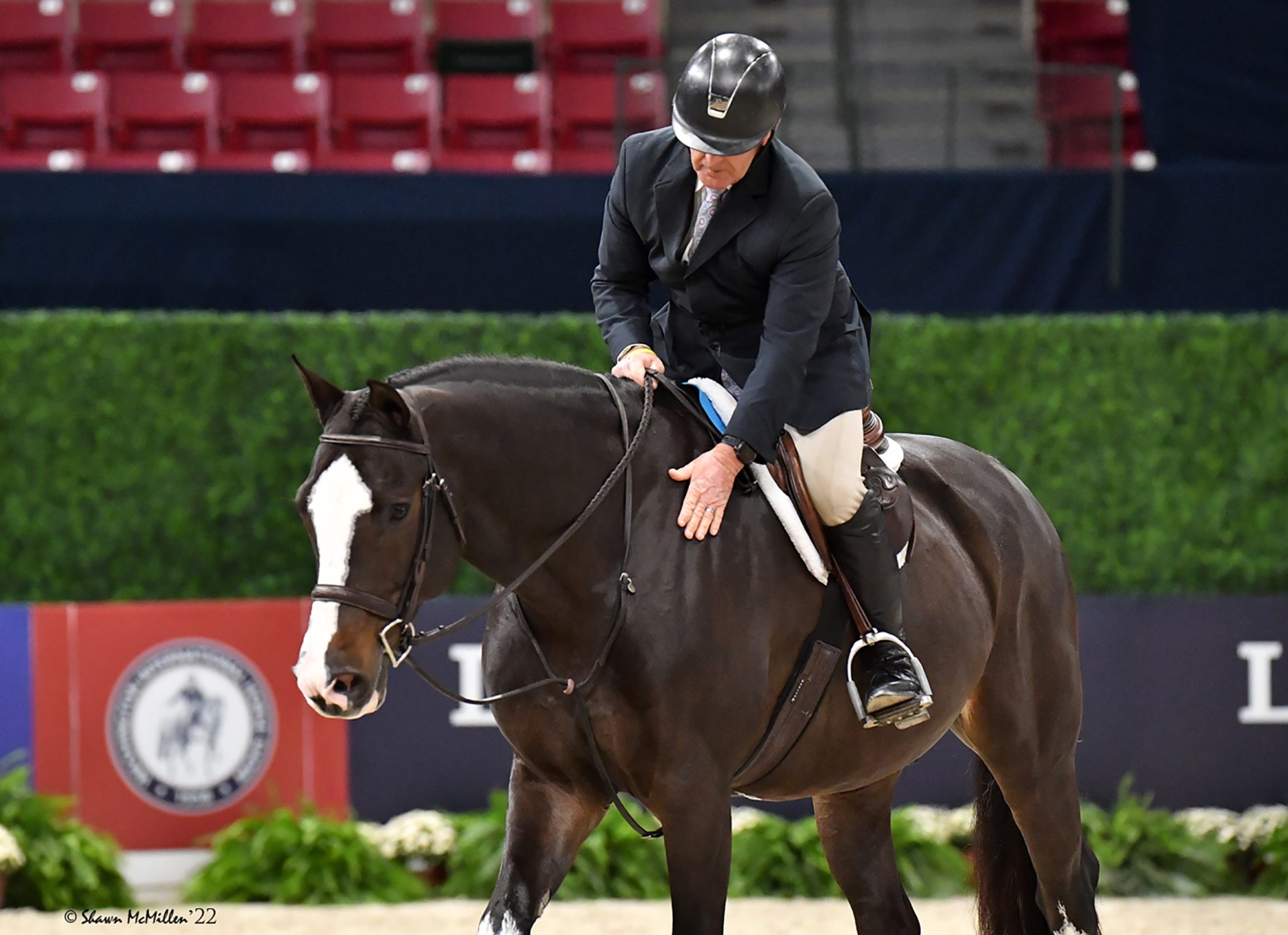 Preparing Young Horses for the Show Ring - The Plaid Horse Magazine