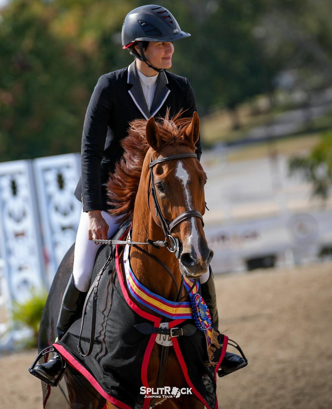 Fourth Time's The Charm in the $20,000 TAKE2 Hunter/Jumper Finals - The Plaid Horse Magazine