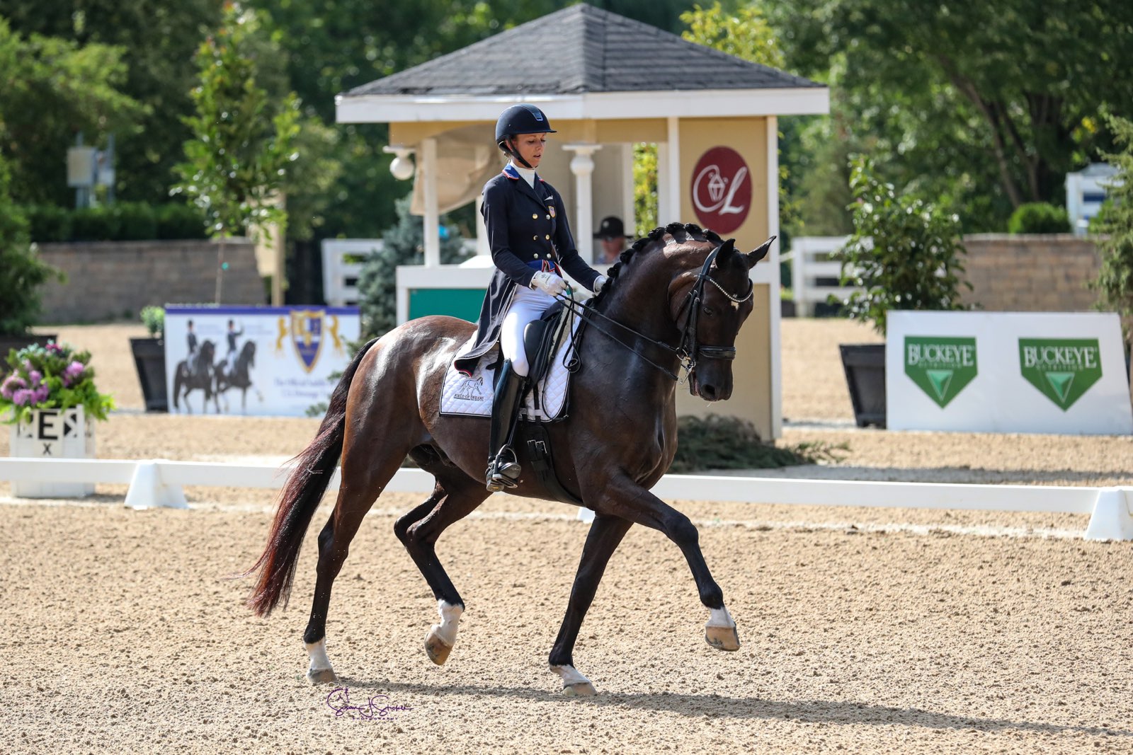 The Dressage Foundation Awards $75,000 in Carol Lavell Advanced ...