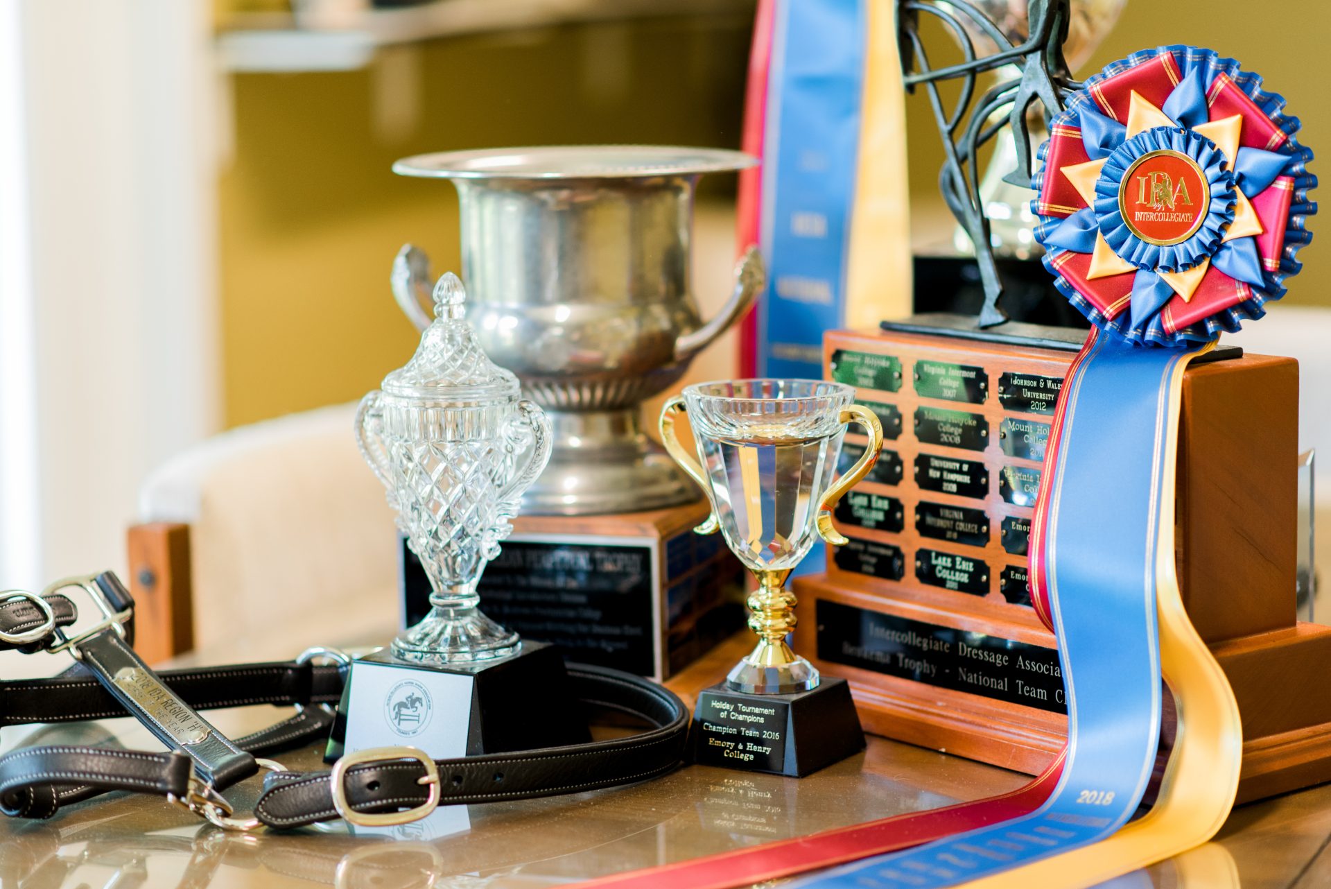 Emory & Henry College - Providing Exceptional Support for Equestrians ...