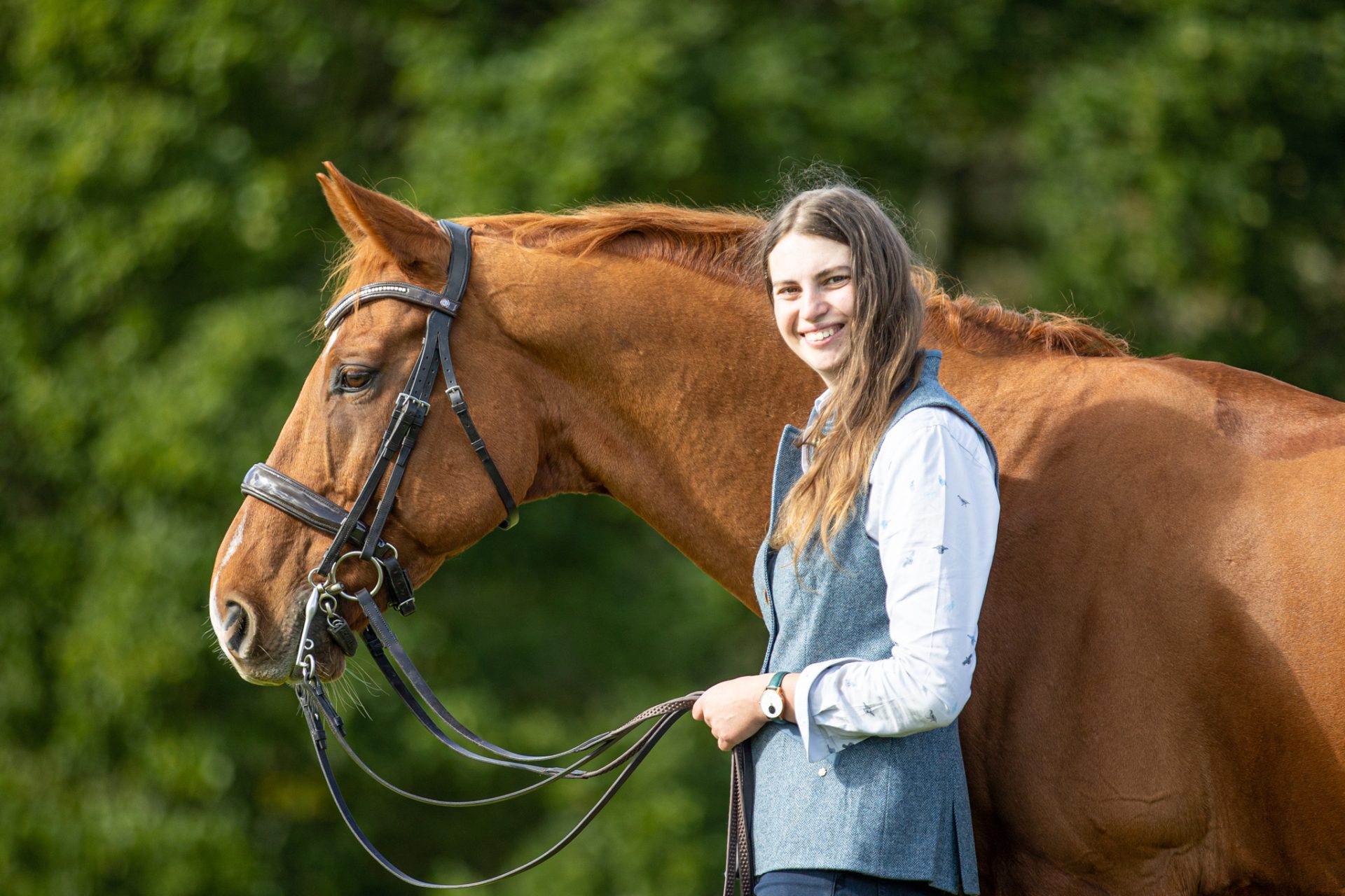 Why Correct Bridle Fit Is a Key Piece In the Horse Wellbeing Puzzle ...