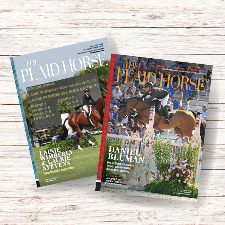 The Plaid Horse Yearly BOX Subscription - The Plaid Horse Magazine