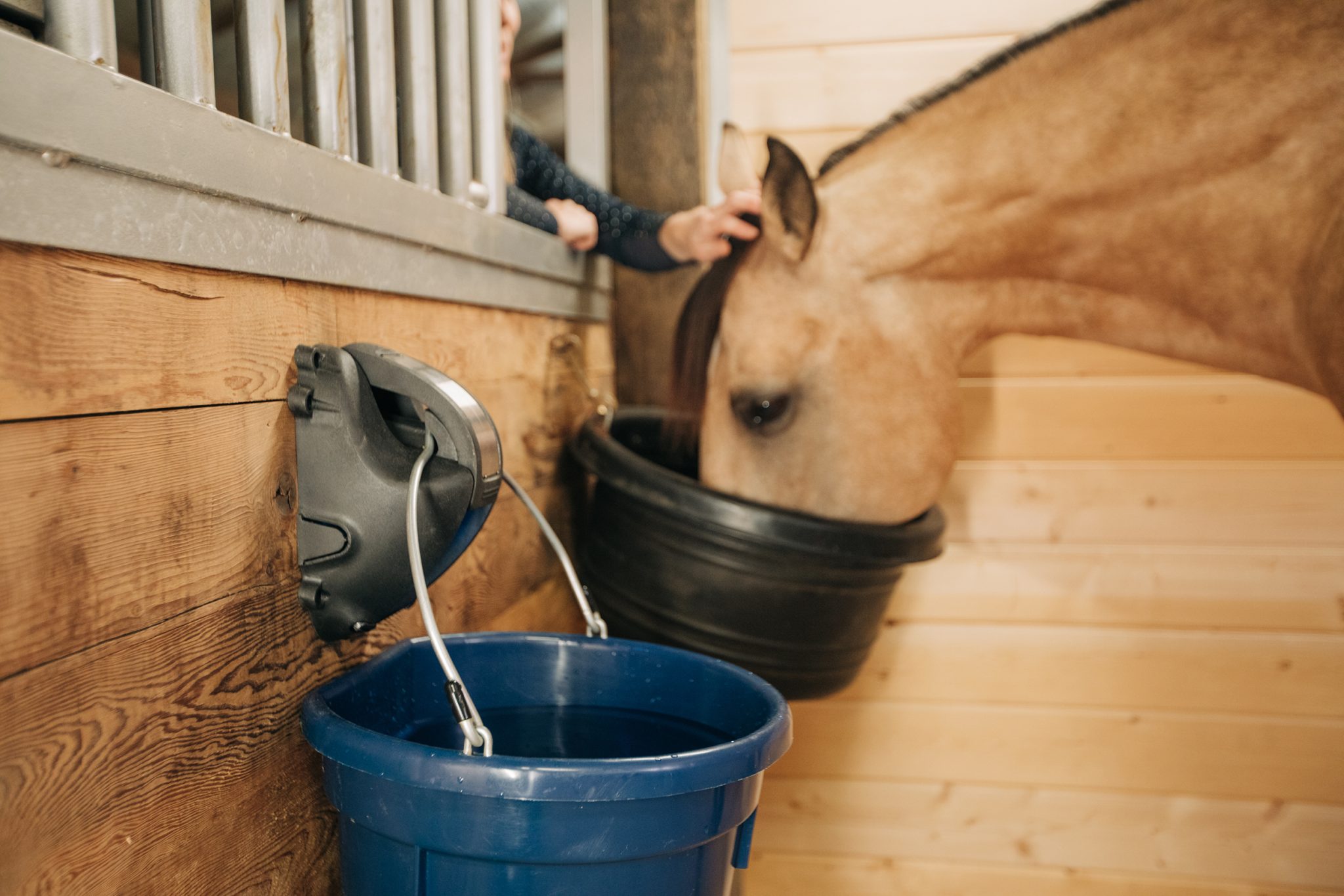 Cascada: Water Smarter - The Plaid Horse Magazine
