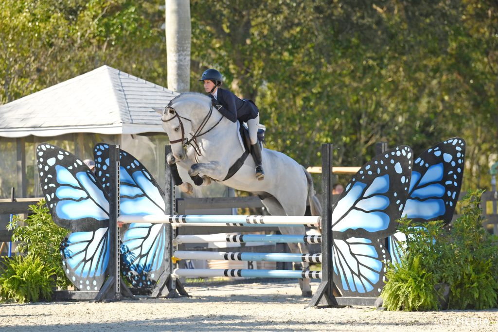 The Laurel Springs Advantage - The Plaid Horse Magazine