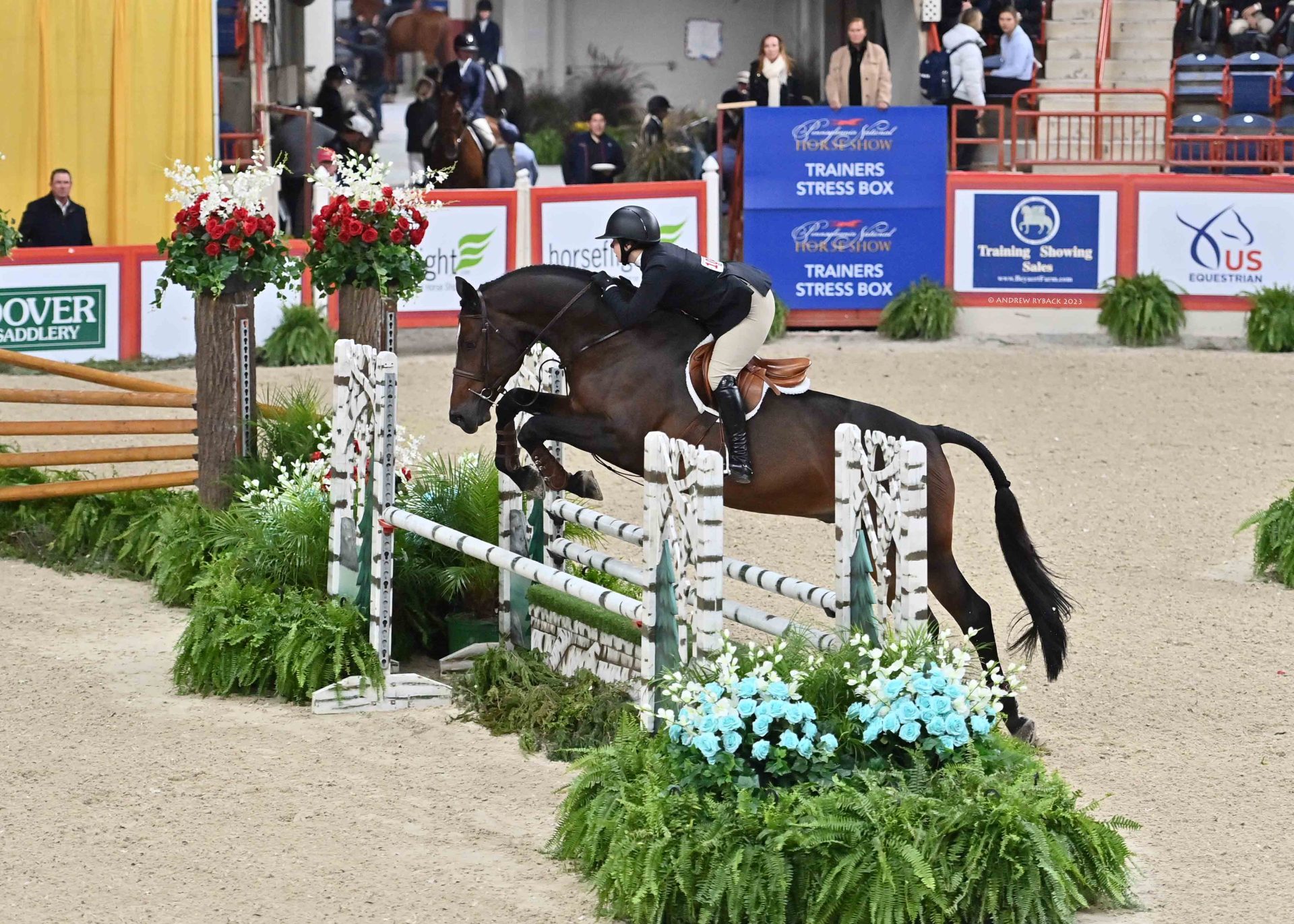 Grace Russo: Putting Horsemanship First - The Plaid Horse Magazine