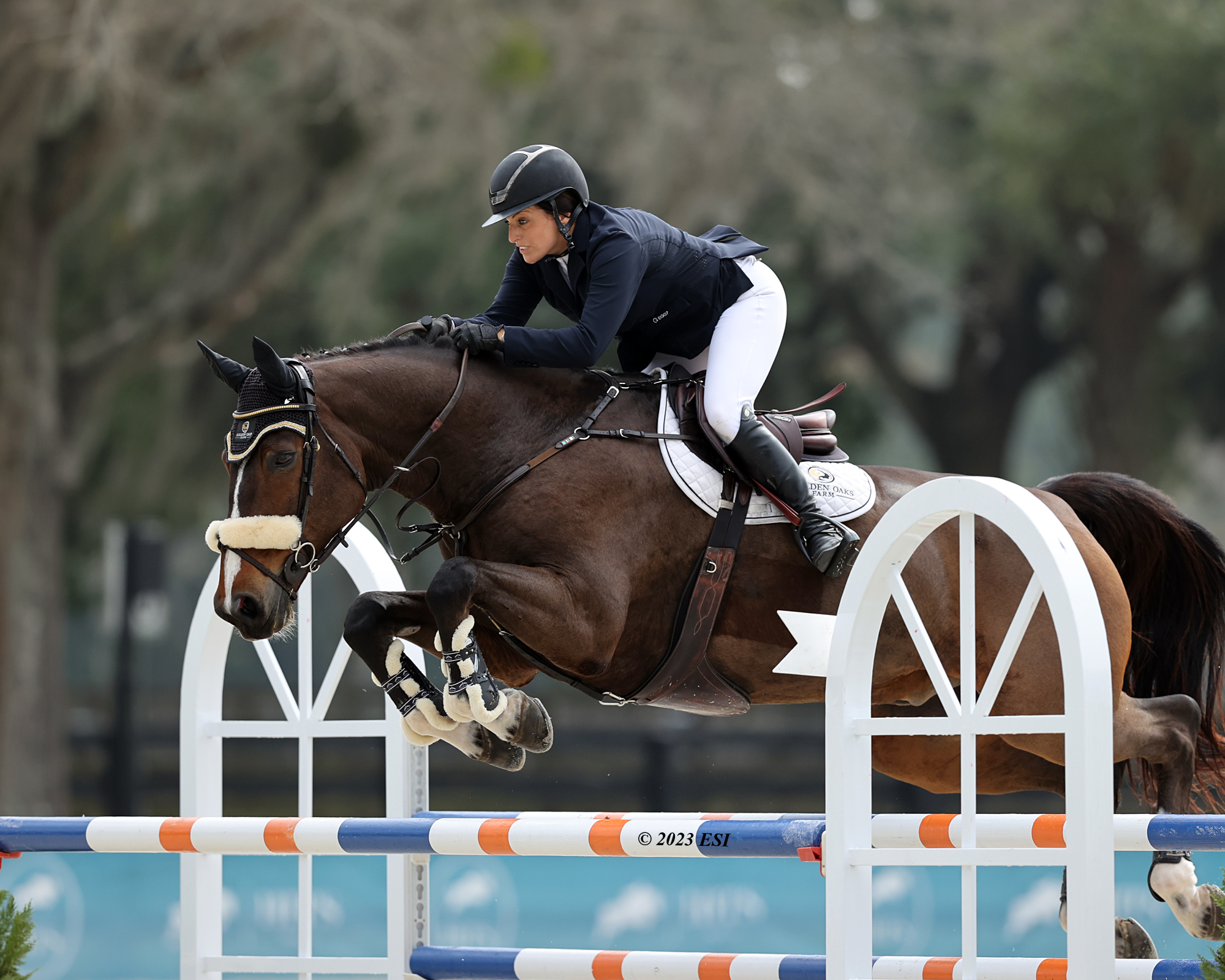Fenney Fights for First Place Finish in the $25,000 HorseFlight Grand ...
