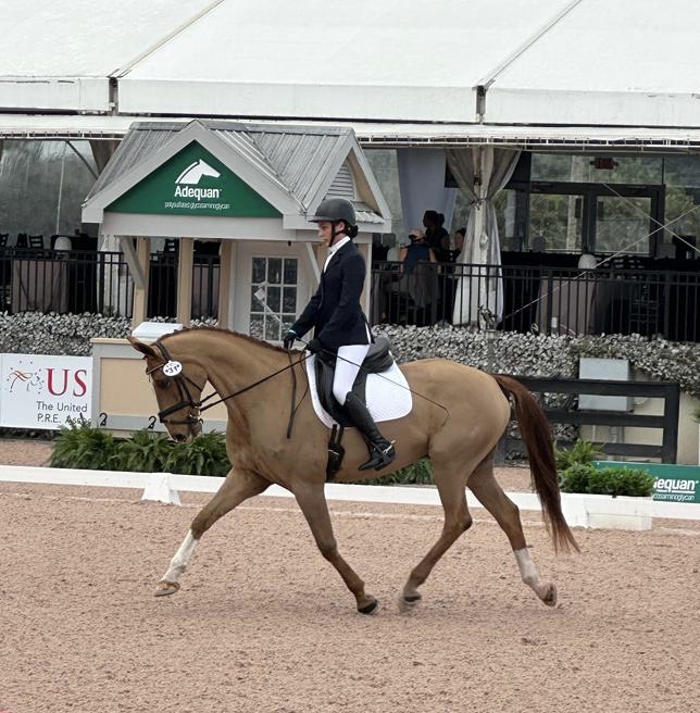 TDF Announces Record Number of Cynthia Aspden Youth and Young Adult ...