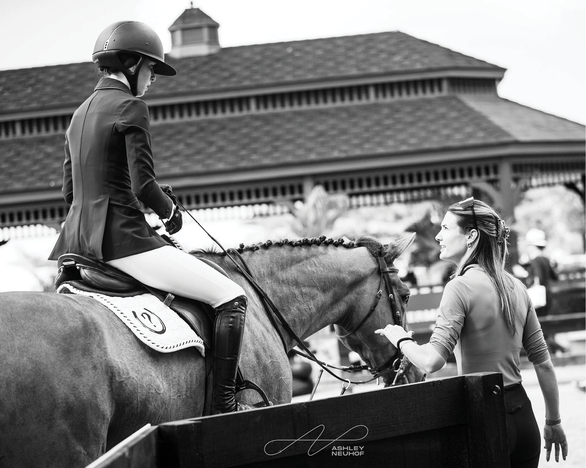 Daniel Bluman: How the Olympian Is Teaching the Next Generation While Thriving in the Show Ring ...