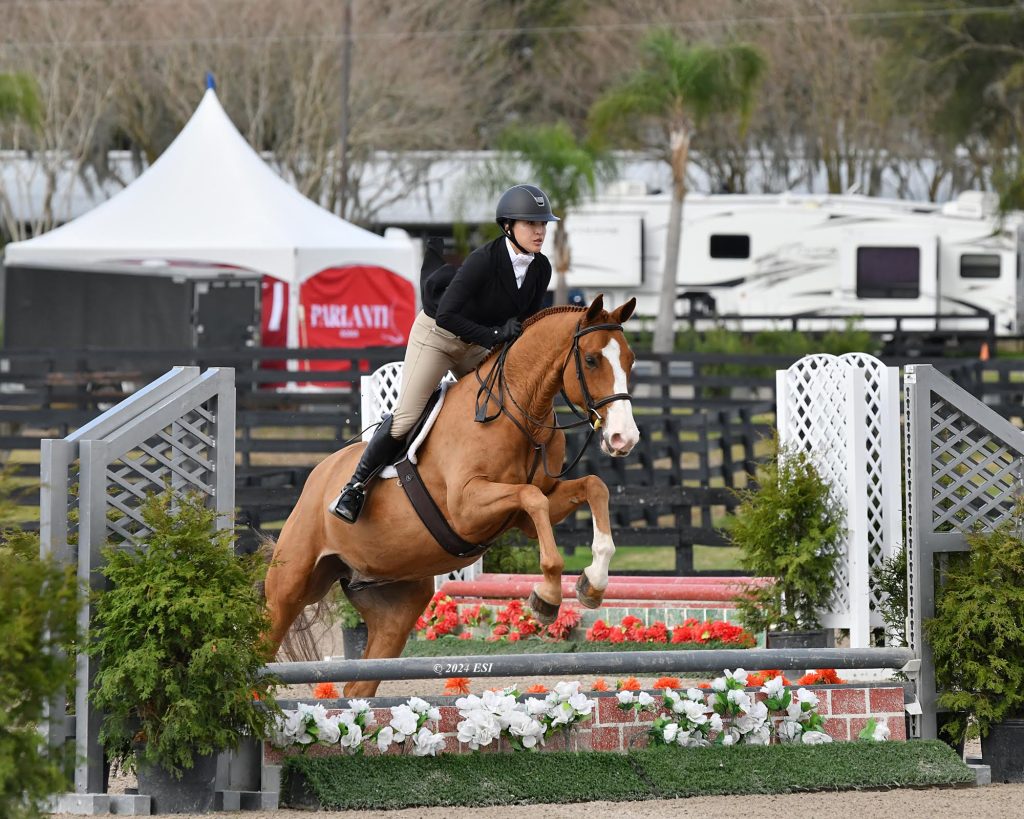 MTM TRUFFLE AND KRISTEN BUMPUS TAKE TOP CALL IN $5,000 SMARTPAK USHJA ...