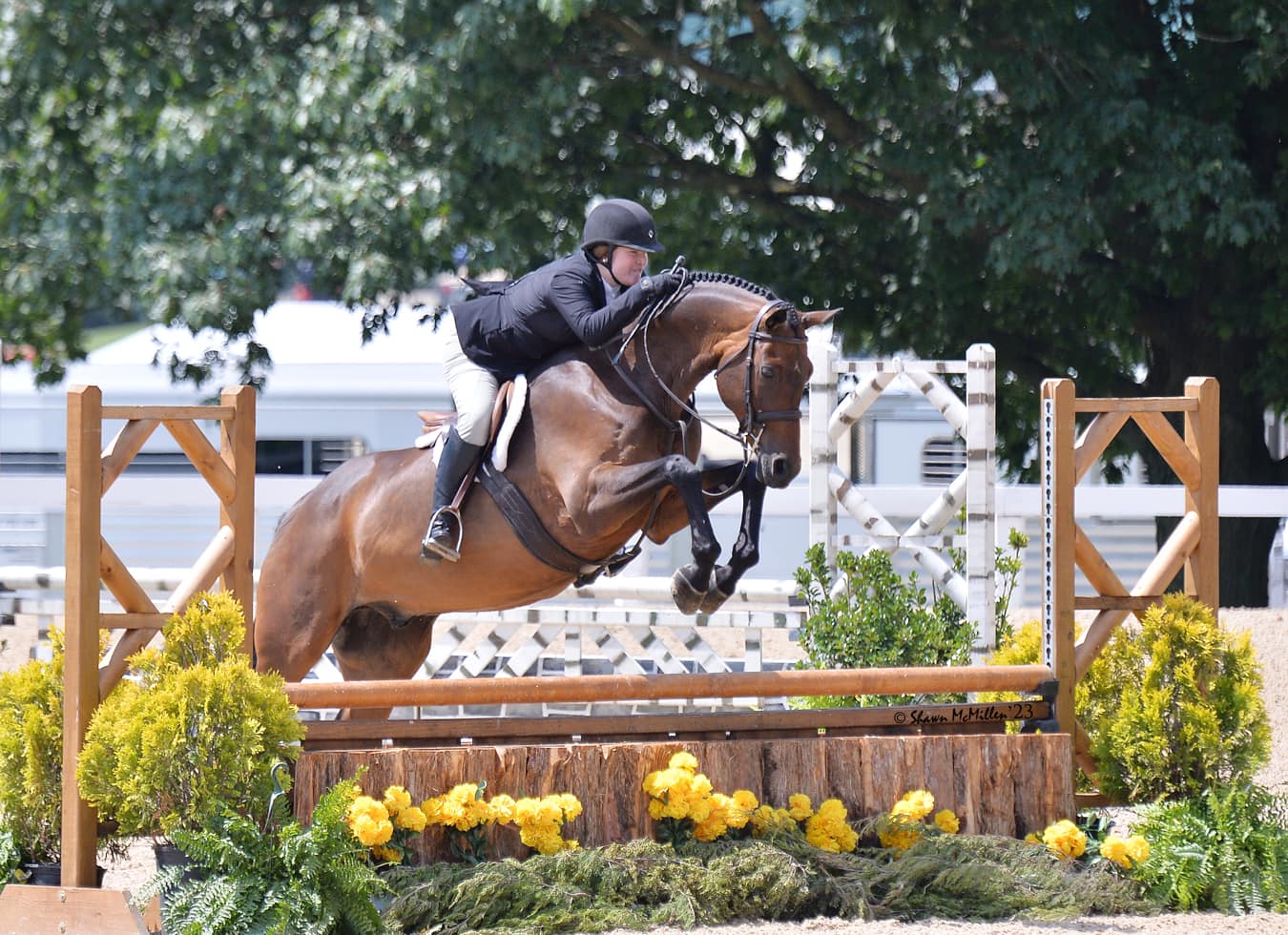 Piper Klemm, PhD - The Plaid Horse Magazine