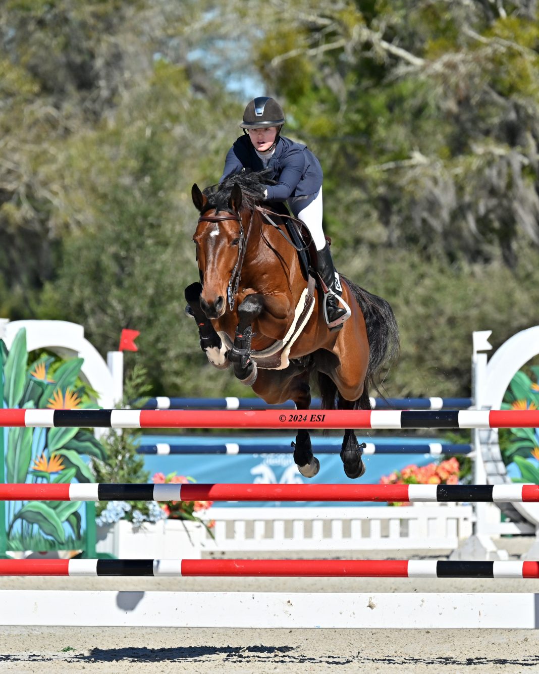 Quinto and Kyle Perkovich Leave One Out to Win $24,500 Horseflight ...