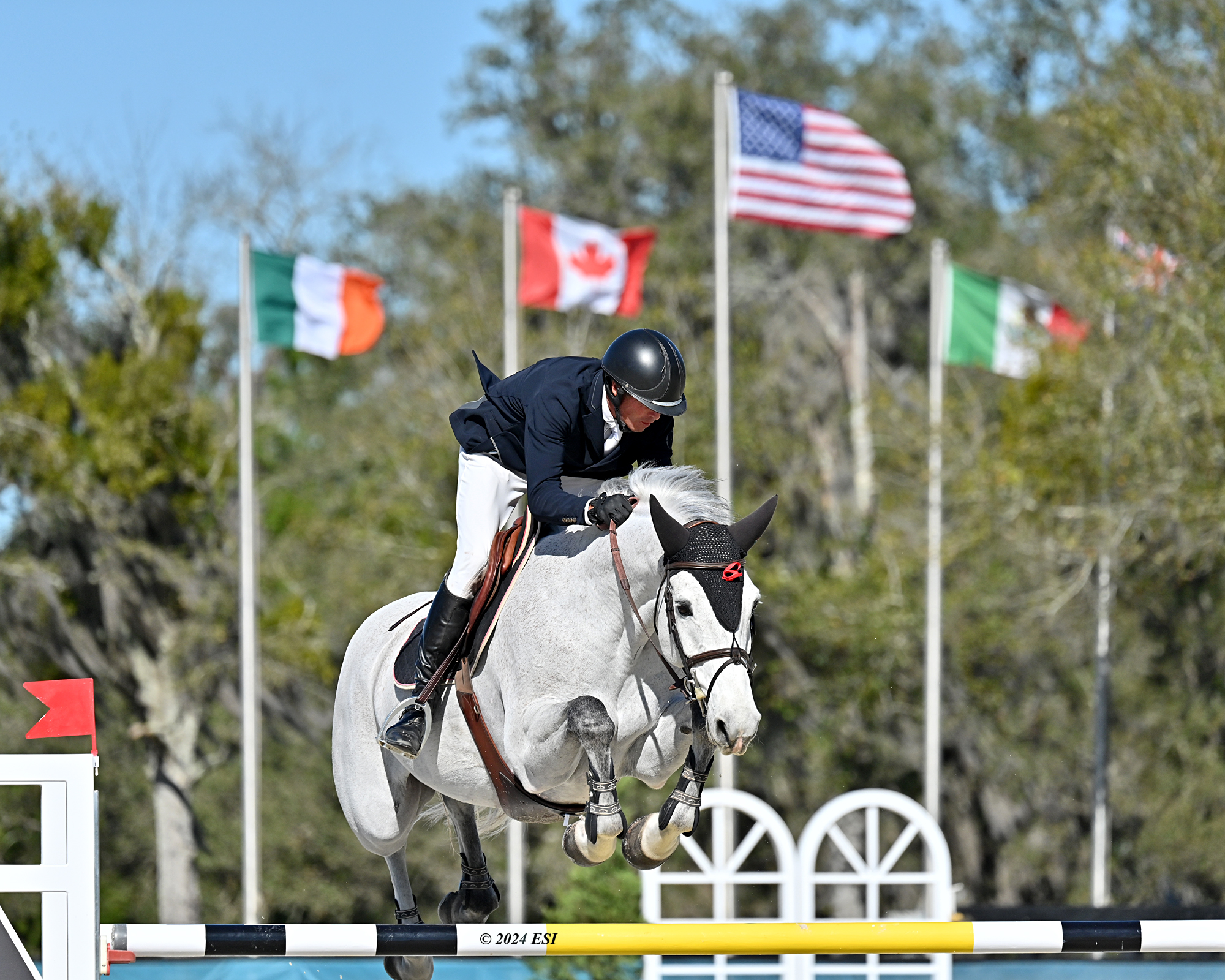 Quinto and Kyle Perkovich Leave One Out to Win $24,500 Horseflight ...
