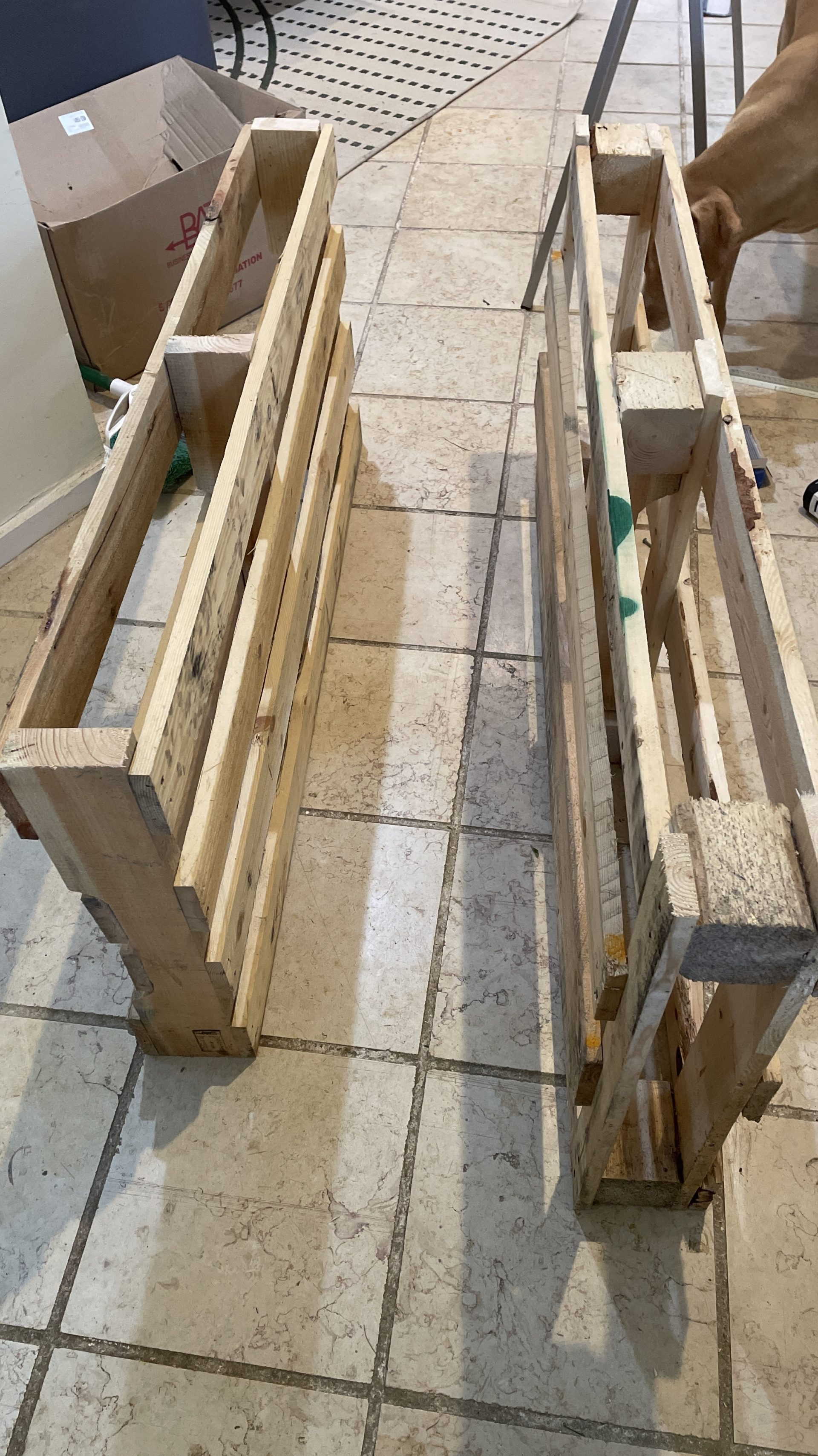 If You Build It, They Will Jump...! - The Plaid Horse Magazine