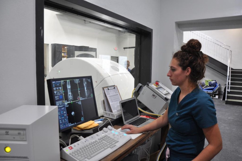 Official Veterinarian Palm Beach Equine Clinic Announces Addition of ...