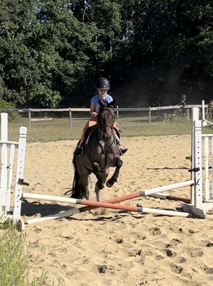 My First Jump with Latte - The Plaid Horse Magazine